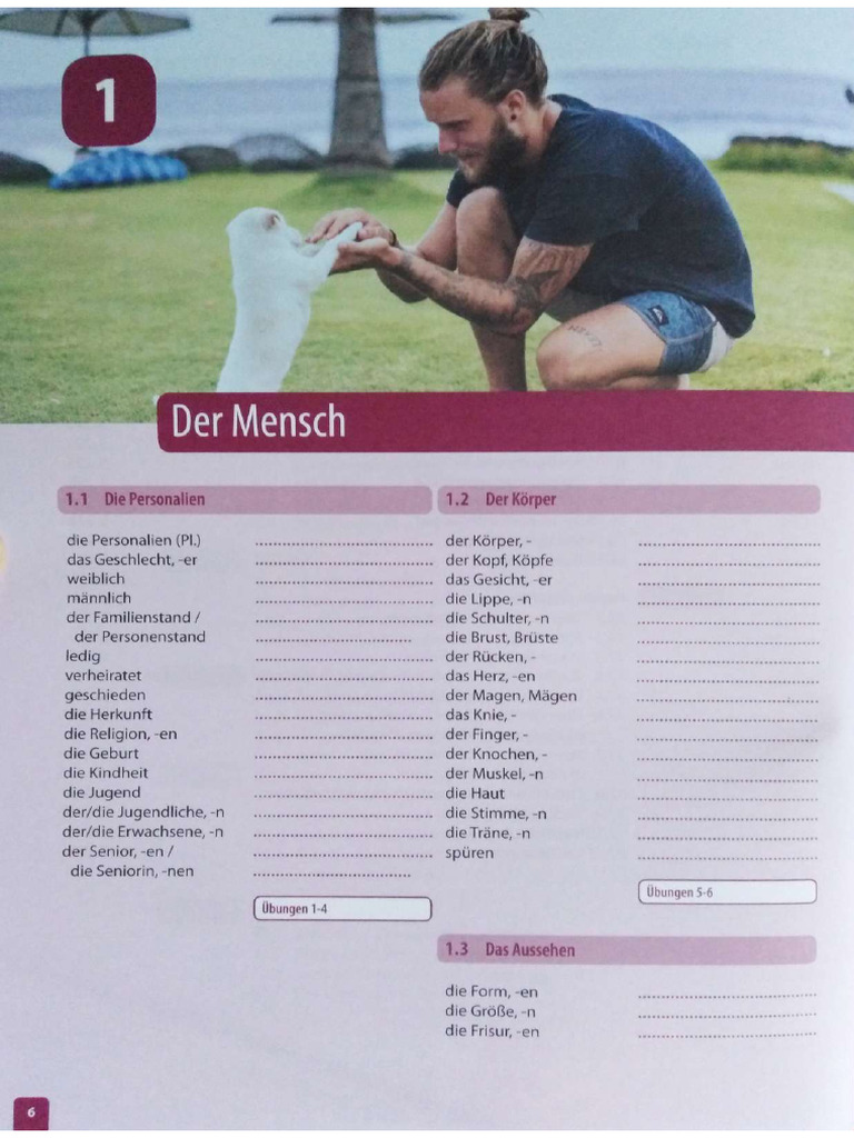 Treffend B1 Thema 7 Nur Wörter | PDF