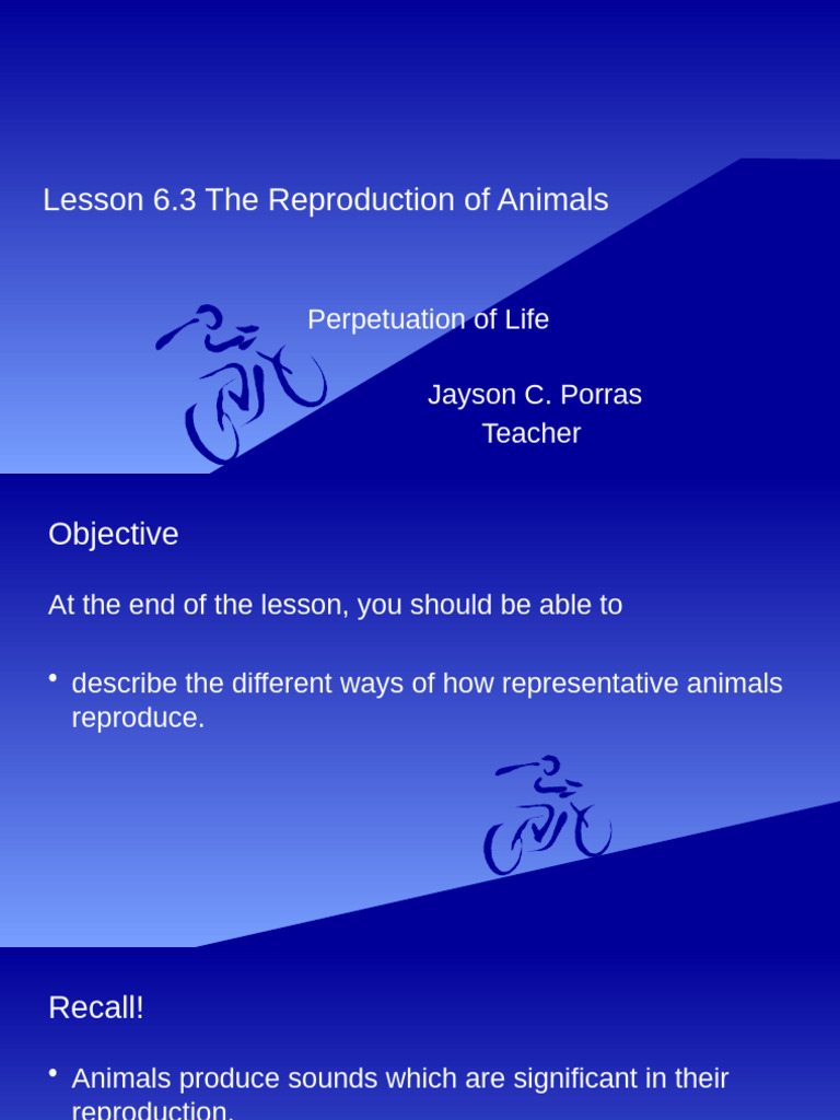 Lesson 6.3 The Reproduction of Animals | PDF | Reproduction | Egg