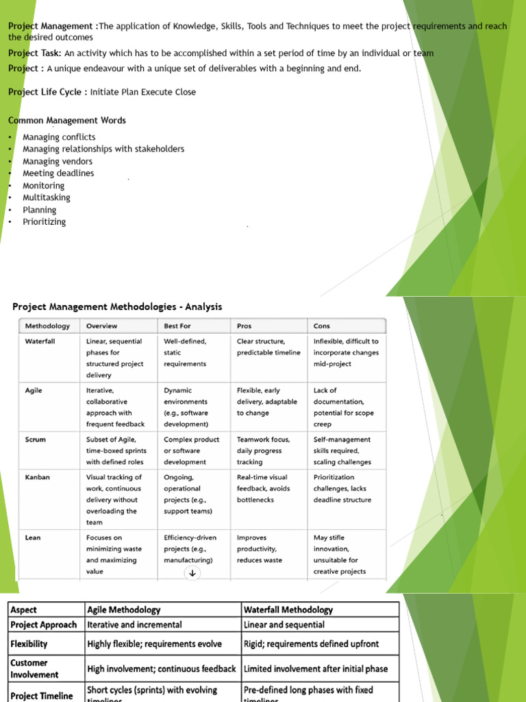 Project Management Basics | PDF | Project Management | Six Sigma