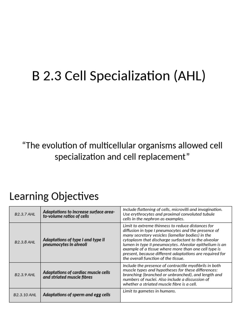 B 2.3 HL Cell Specialization | PDF | Morphology (Biology) | Histology