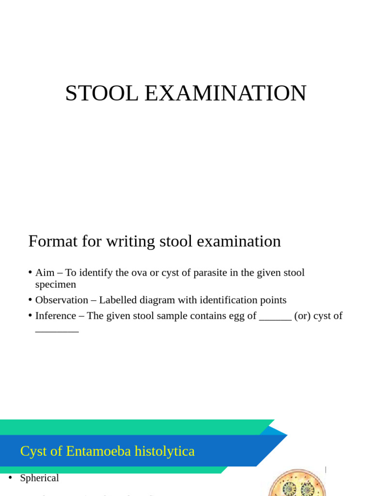 Stool Examination | PDF