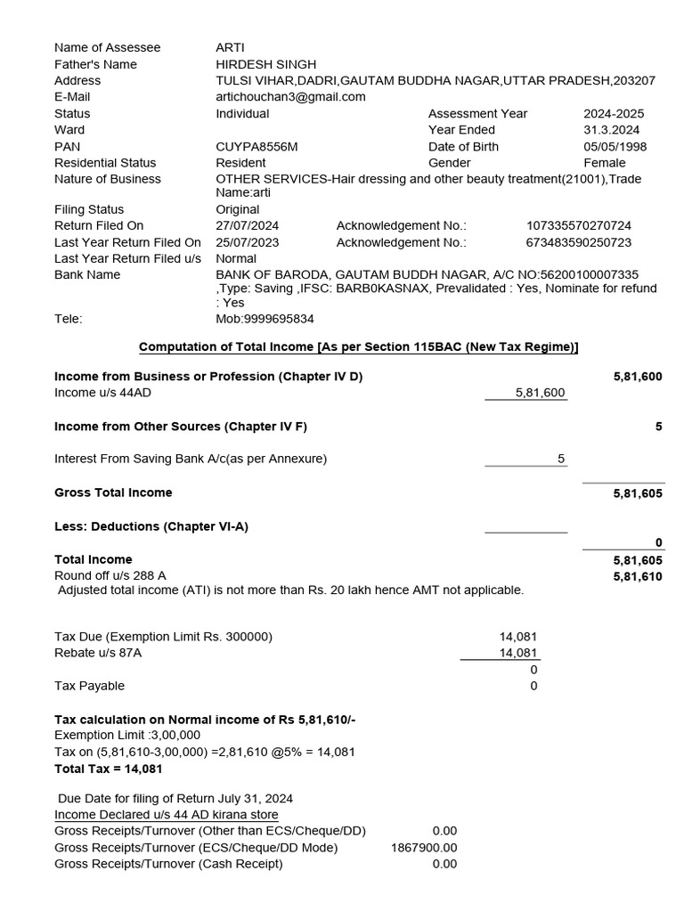 Individual Tax Return Summary 2024-25 | PDF | Revenue | Banks