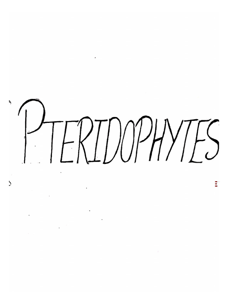 B.SC Semester-II Botany Subject English Medium | PDF