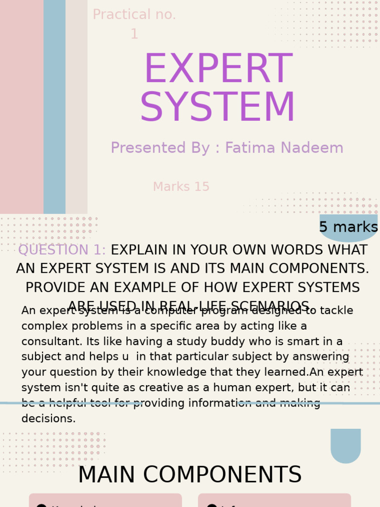 Expert System by Fatima Nadeem 7b | PDF | Simulation | Expert