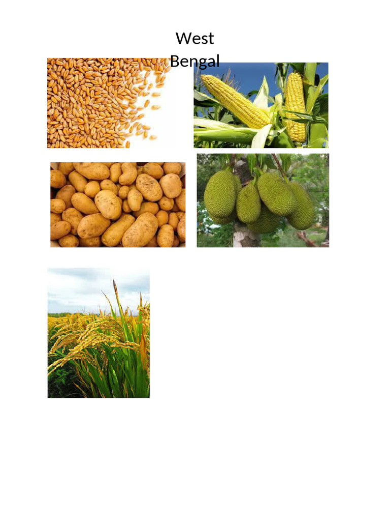 CROPS | PDF