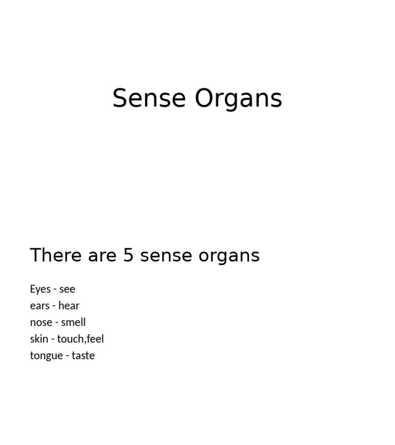 Sense Organs | PDF