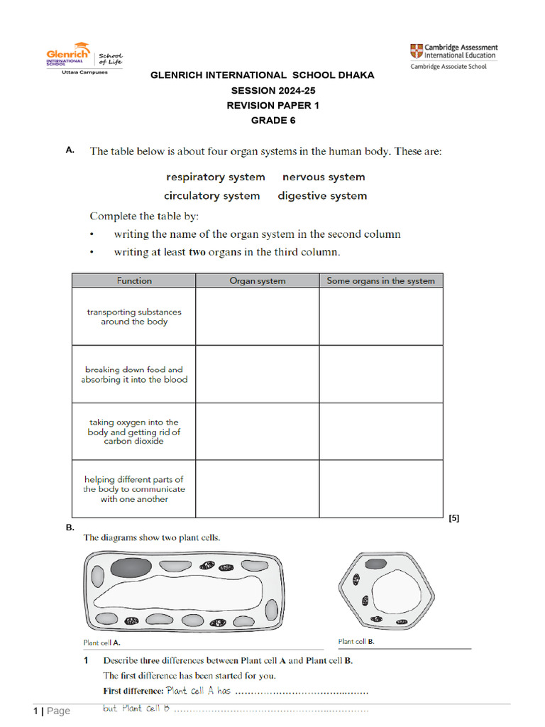 Grade 6 Revision Paper 1 2024-25 | PDF