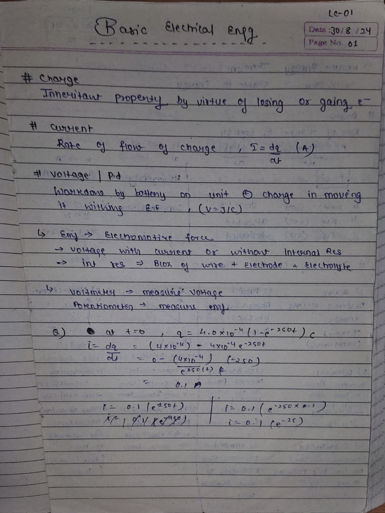 Bee Notes Handwritten | PDF