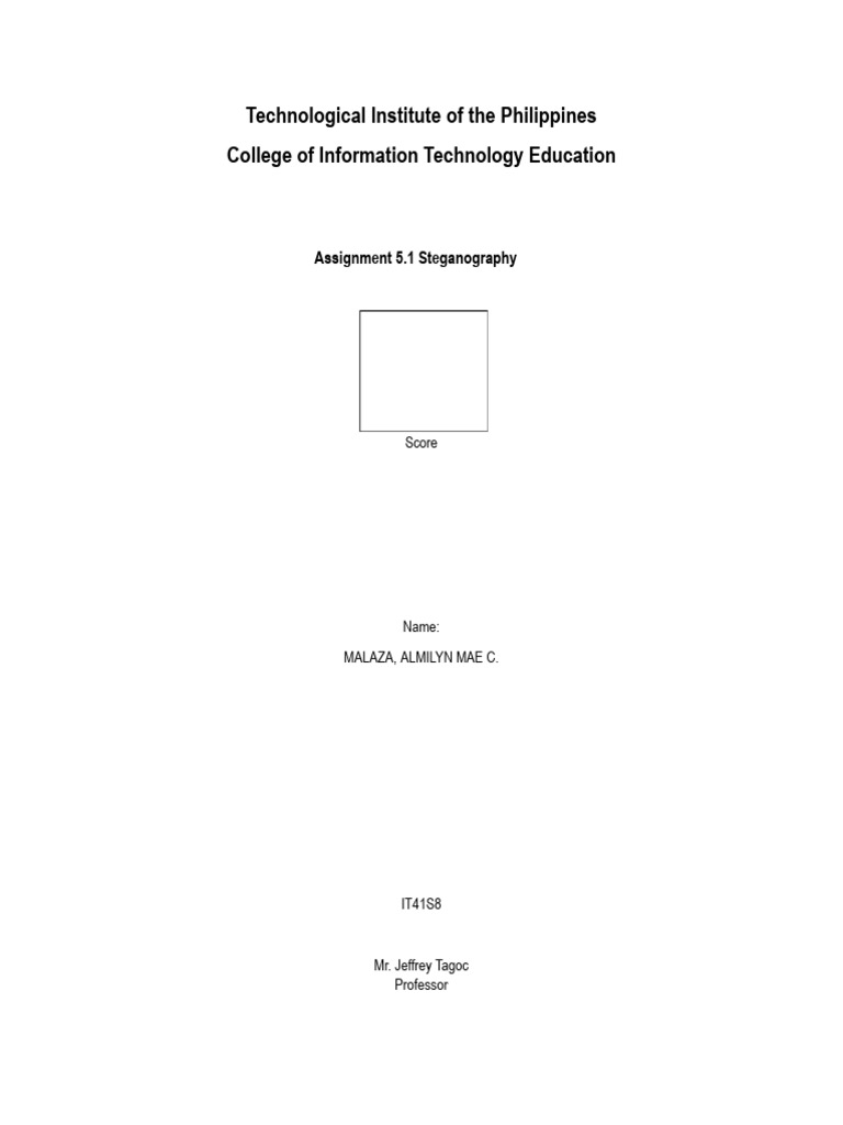 Malaza Assignment 51 It41s8 Pdf Computing Cyberspace 