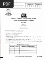 Jjeb P2 Uace 2024 | PDF