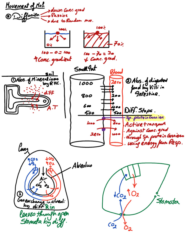 Movement Of Molecules Pdf Biotechnology Biophysics