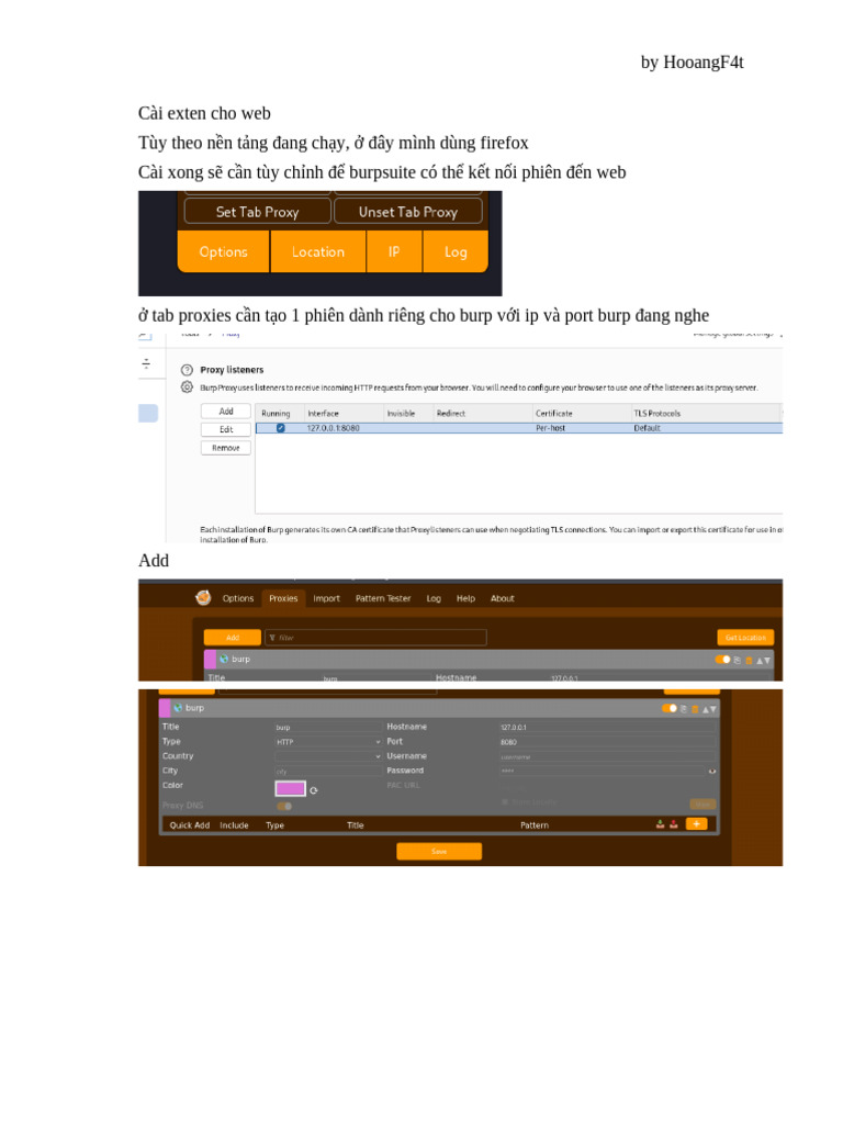 Set Up Burp Suite | PDF