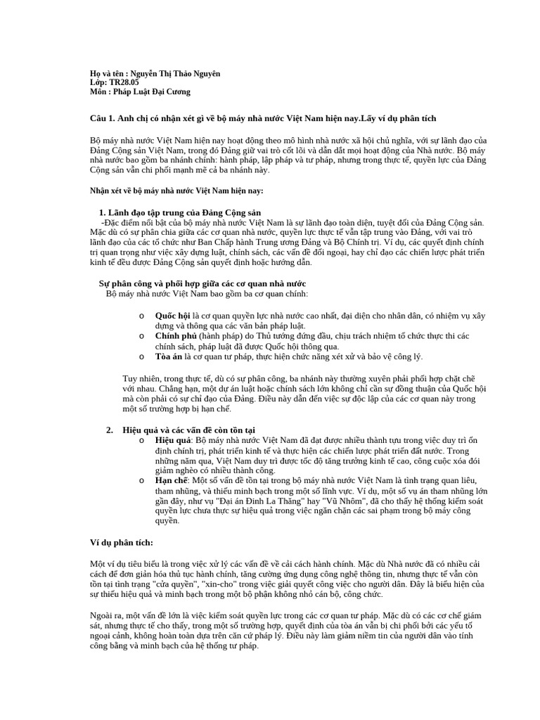 Nguyen Thi Thao Nguyen Tr28.05 | PDF