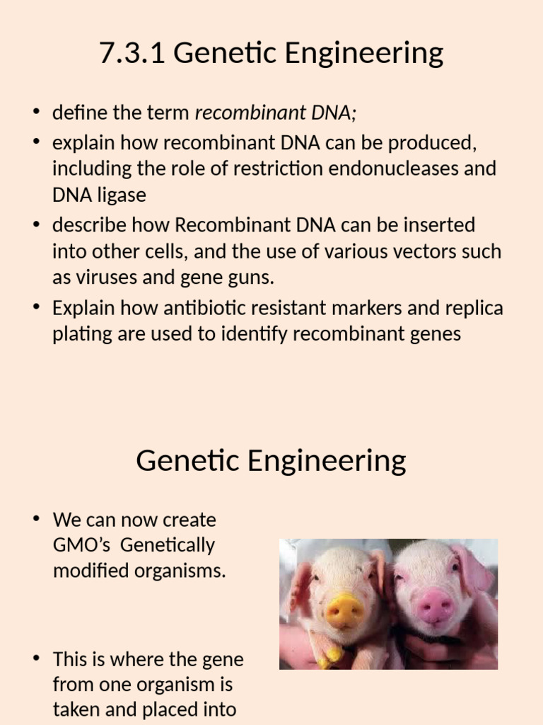 Producing Recombinant DNA7.3.1 | PDF | Dna | Recombinant Dna