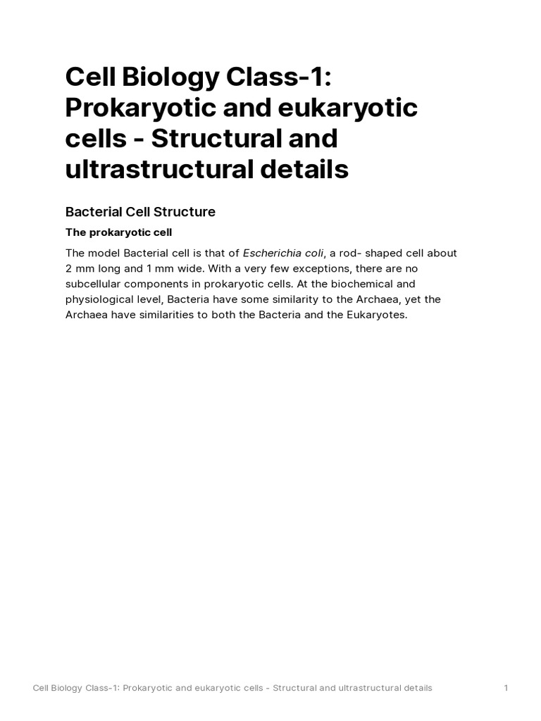 Cell BON | PDF | Cell Membrane | Eukaryotes