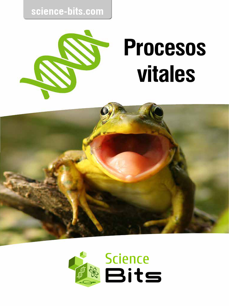 Procesos Vitales en los Seres Vivos | PDF | Nutrientes | Biología