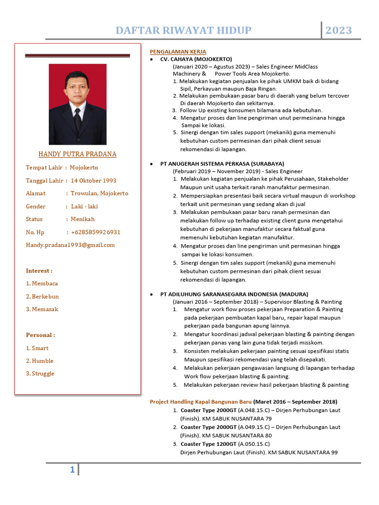 CV Handy PP 2023 | PDF