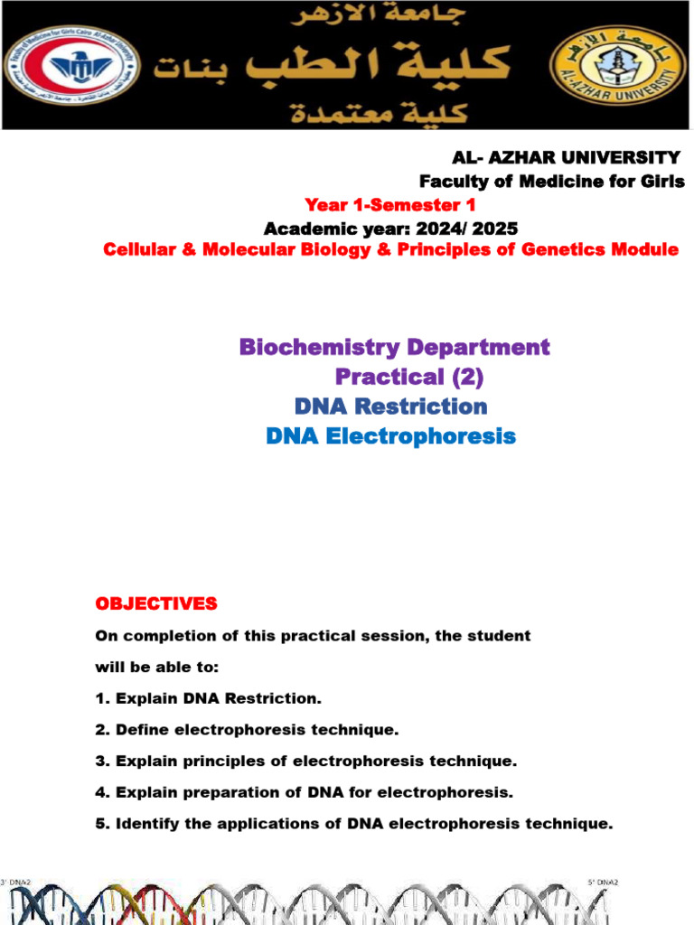 Molecular Biochemistry Practical 2-2025 | PDF | Gel Electrophoresis | Restriction Enzyme