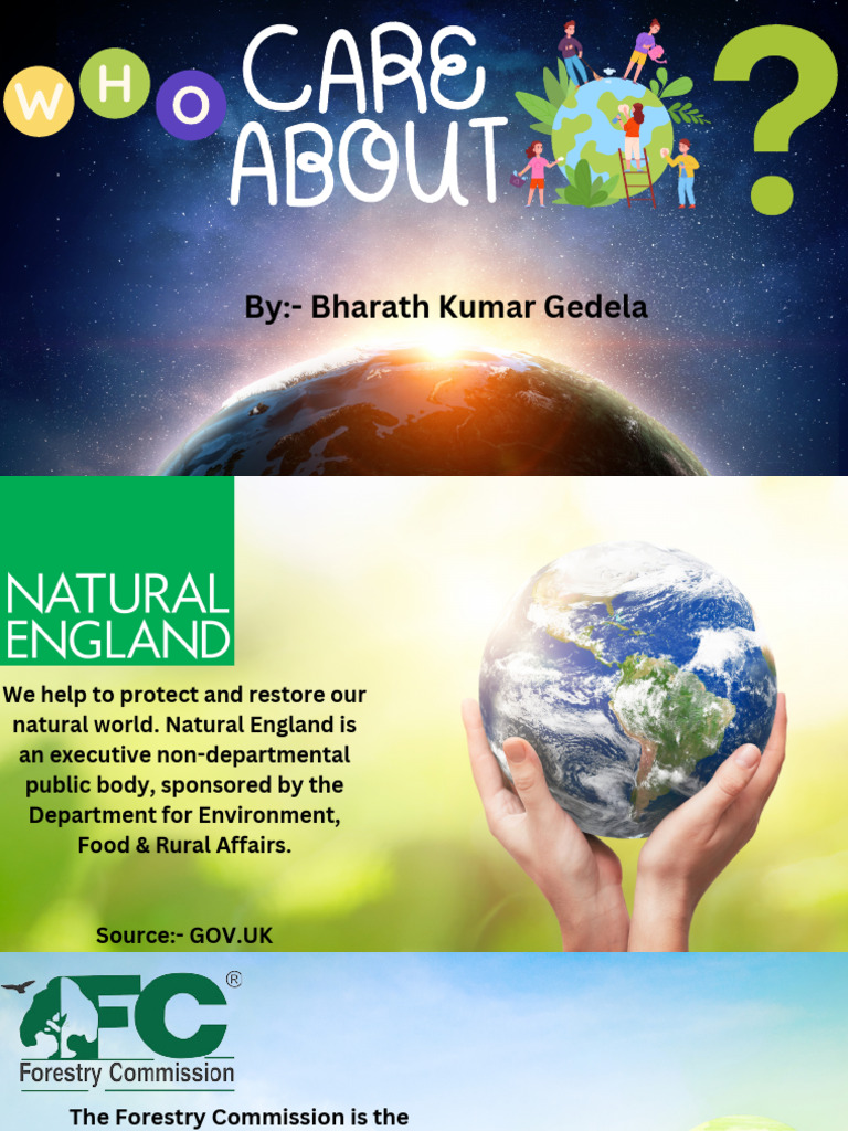 IGCSE Term 1 Project Geography | PDF