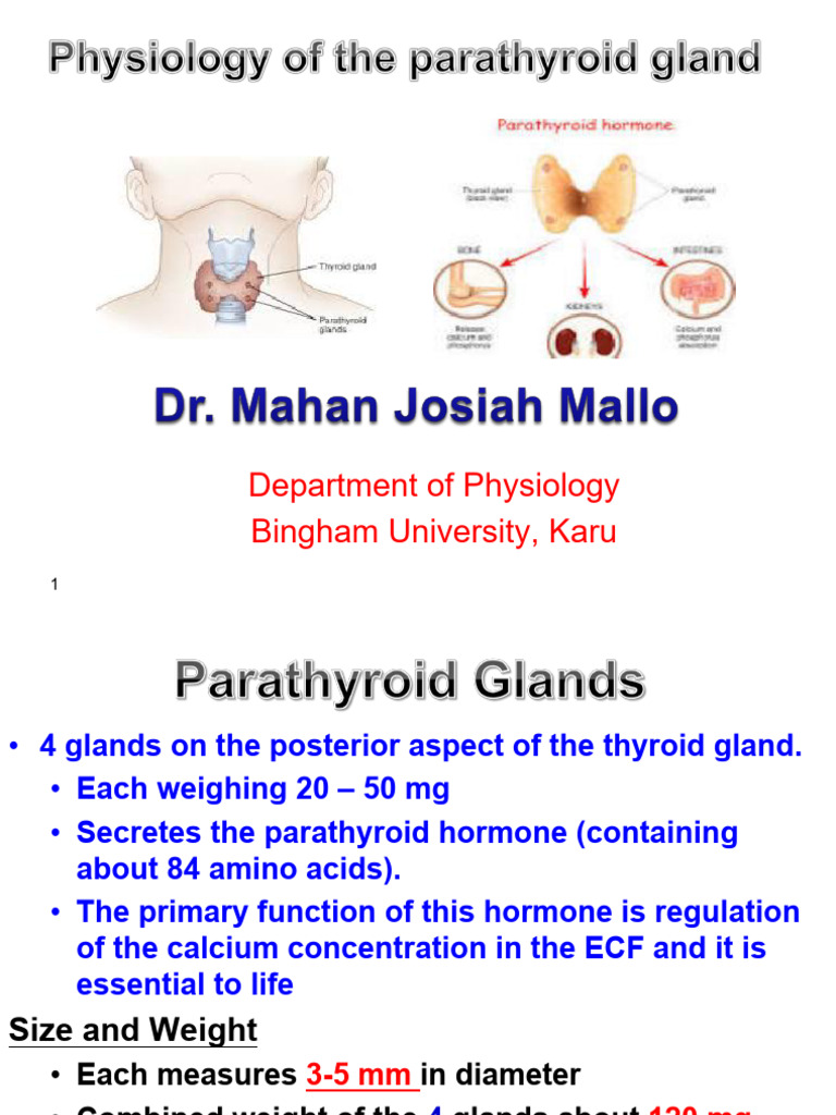 Parathyroid Hormone Functions and Effects | PDF | Calcium In Biology ...