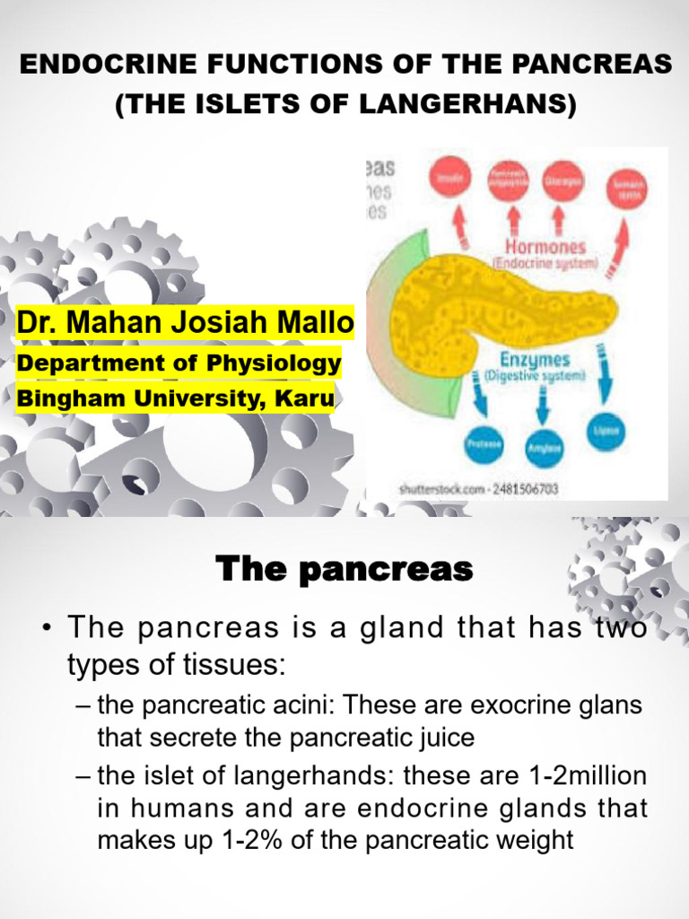 Physiology of The Endocrine PANCREAS and It's Disorders E.G Diabetes ...