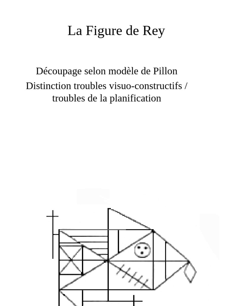 Figure de Rey (Pillon) 5 Étapes | PDF