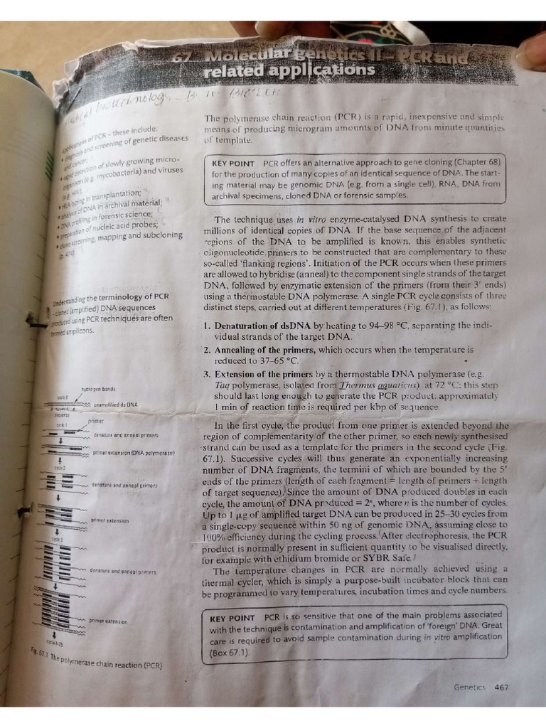 PCR 3rd Practical (Medical Biotechnology) | PDF