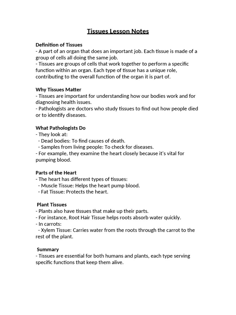 Tissues Lesson Notes | PDF