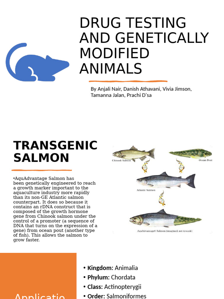 Drug Testing in Genetically Modified Animals | PDF | Cattle ...
