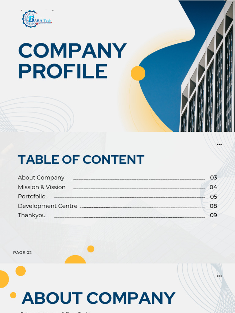 Company Profile Baratech | PDF