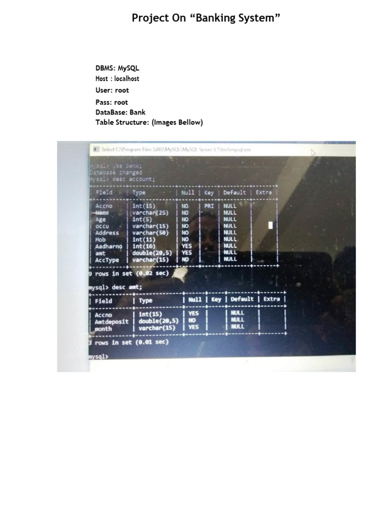 Project On Banking System | PDF | Databases | Computer Data