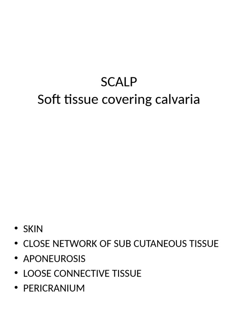 1 Scalp | PDF