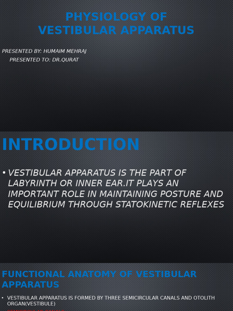 Vestibular Apparatus Physiology Explained | PDF | Vestibular System ...