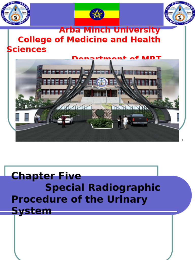 Urinary System Radiographic Procedures | PDF | Kidney | Urinary System