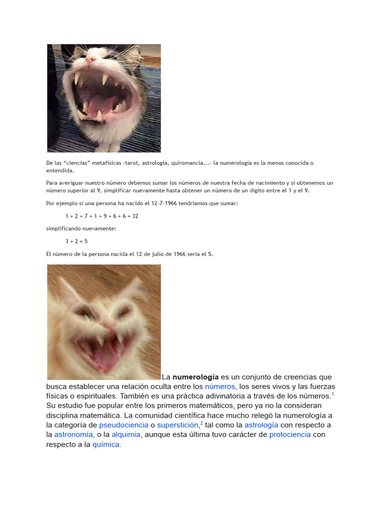 Documento Sin Título | PDF