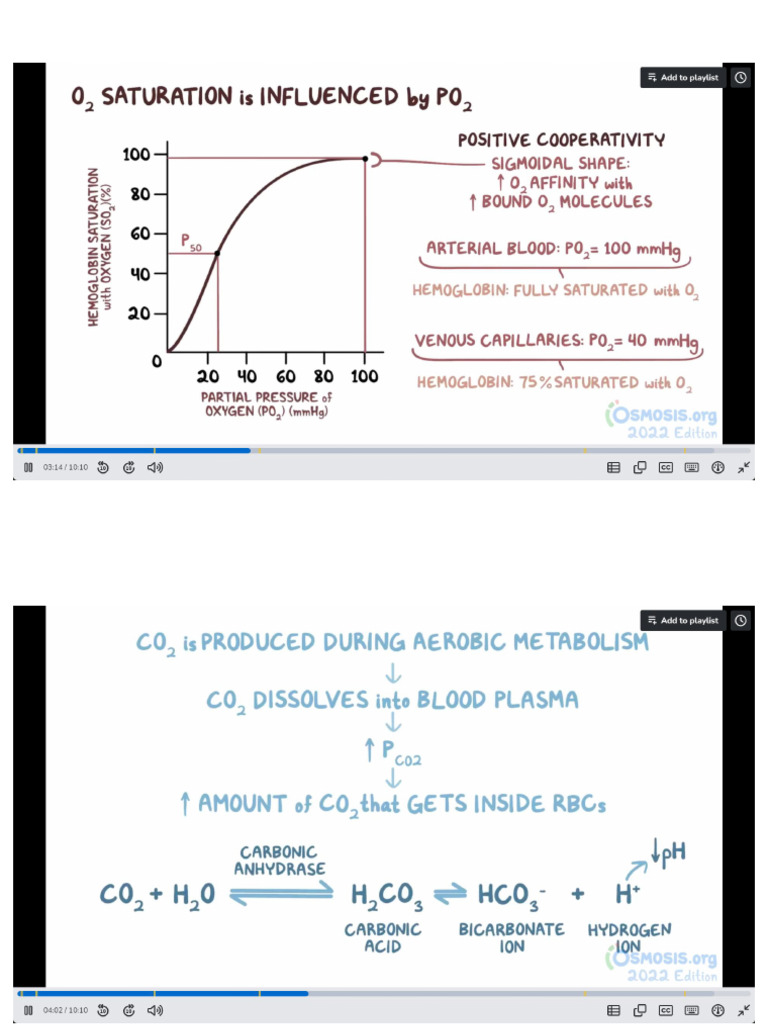 Respiratory Slide | PDF