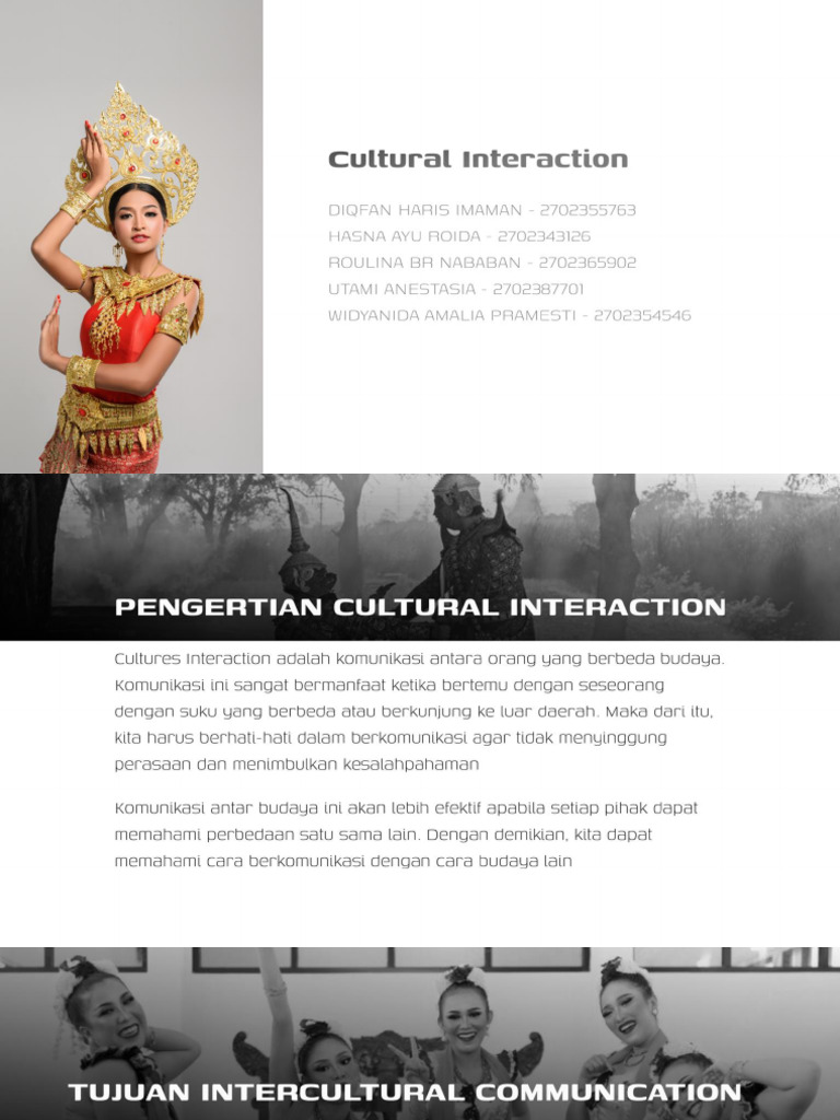 Cultural Interaction Update | PDF