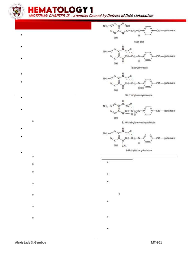 TRANSES-CHAPTER 18 - Anemias Caused by Defects of DNA Metabolism | PDF | Anemia | Vitamin B12