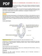 Uropol Forte: Uso y Composición | PDF | Orina | Medicamentos con receta