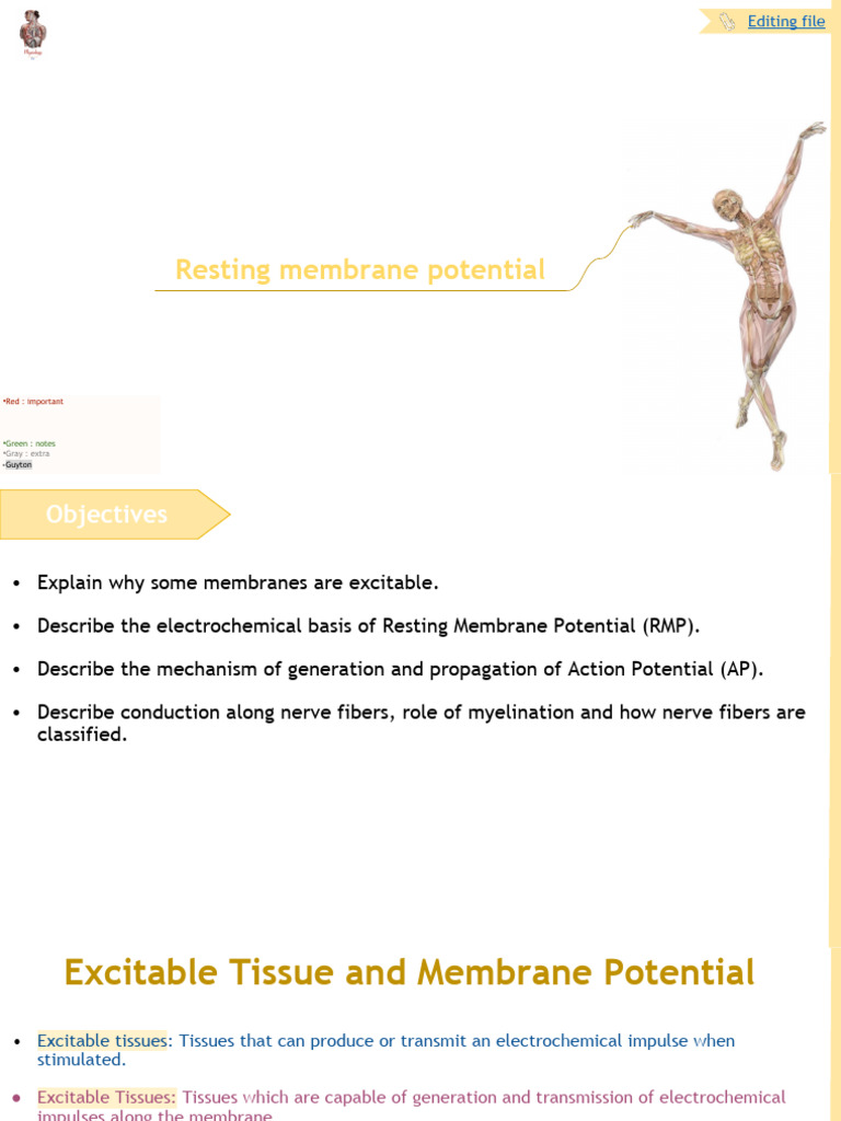 3 - Resting Membrane Potential | PDF | Membrane Potential | Applied And ...