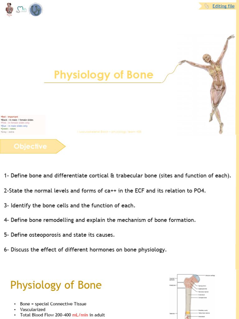 1 - Physiology of Bone | PDF | Bone | Osteoblast