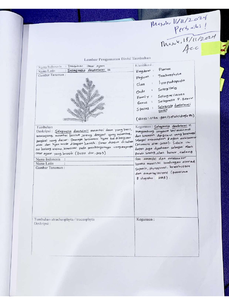 Kelompok 1 (Perc 1,3,4,5,6) | PDF