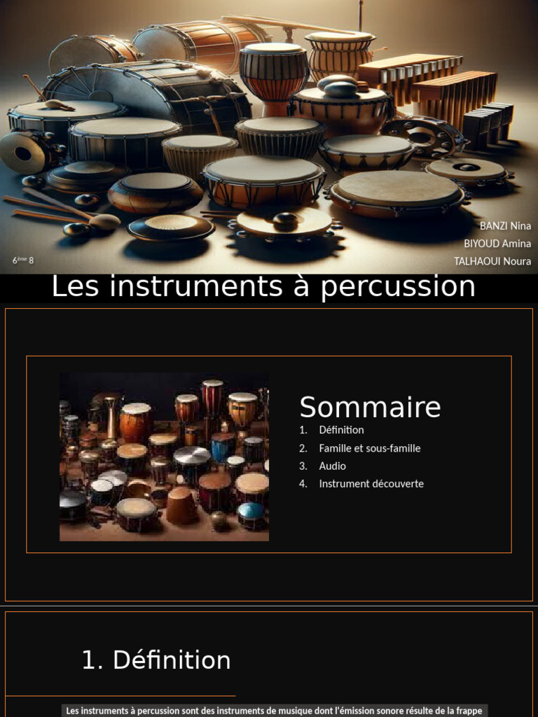 Intruments À Percussion | PDF