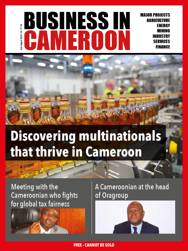 Cameroon: Business Opportunities and Multinational Success | PDF ...