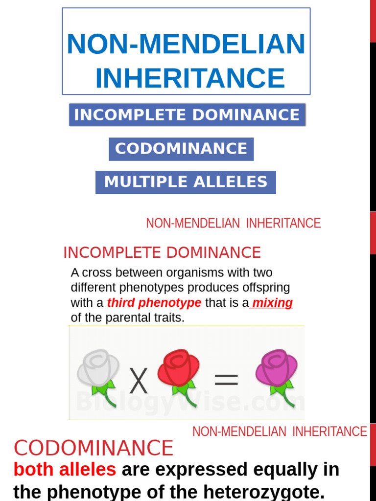 Multiple Alleles | PDF | Dominance (Genetics) | Allele