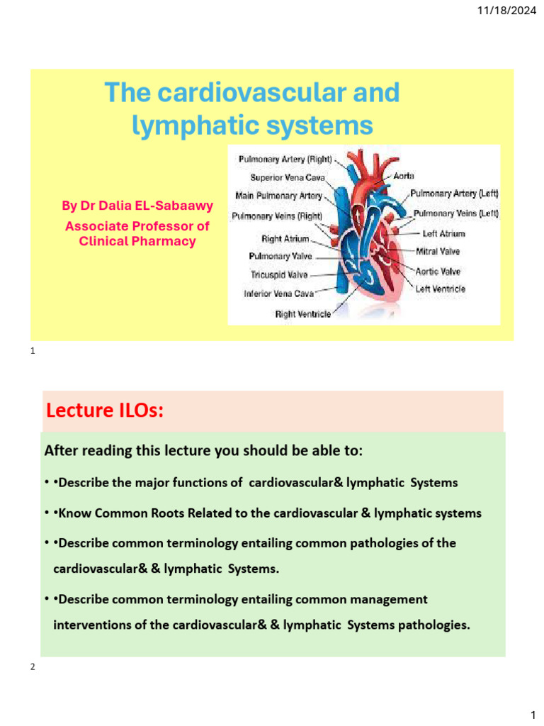 The Cardiovascular and Lymphatic Systems 1 | PDF | Heart | Heart Valve