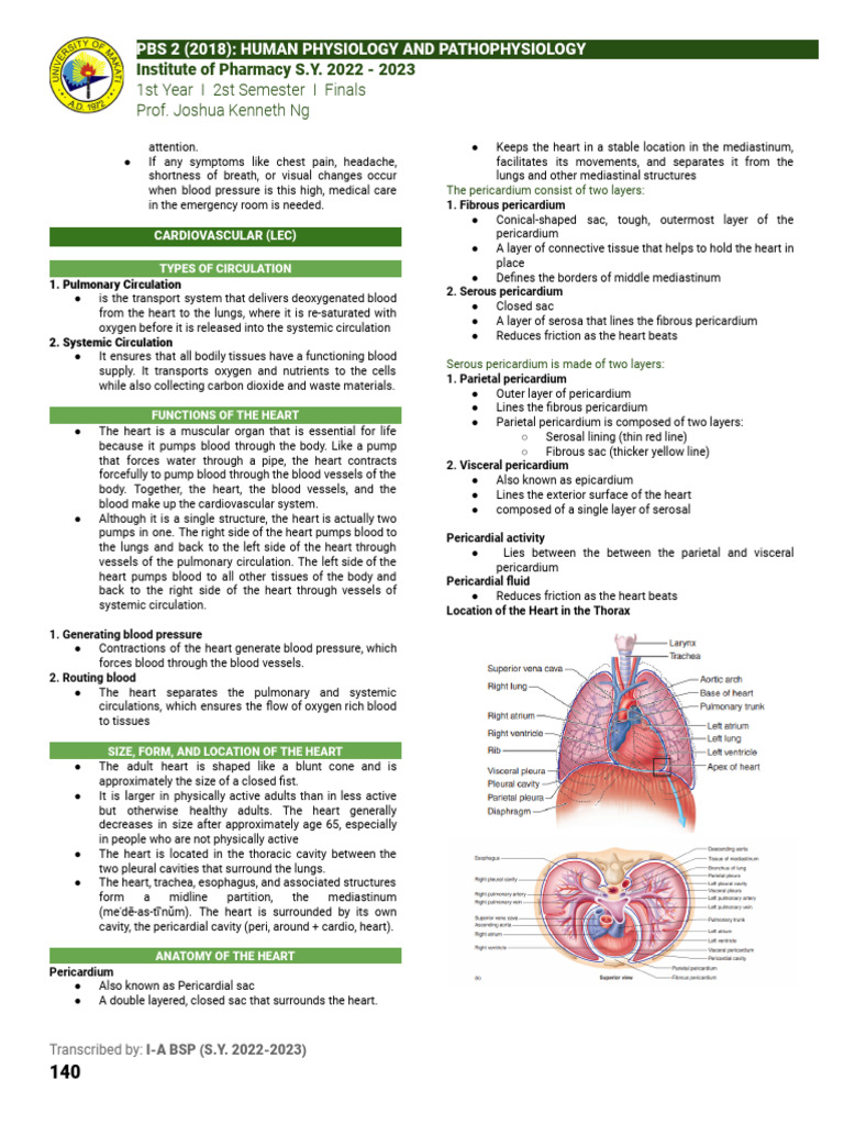 PBS 2 TRANSES - Introduction To HAPP Until Cardiovascular Google Docs | PDF | Heart Valve ...