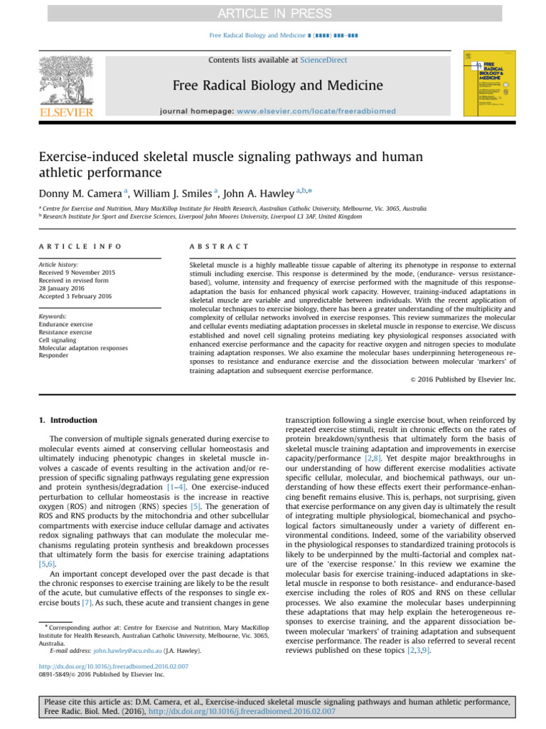 Exercise-Induced Skeletal Muscle Signaling Pathway | PDF | Autophagy ...