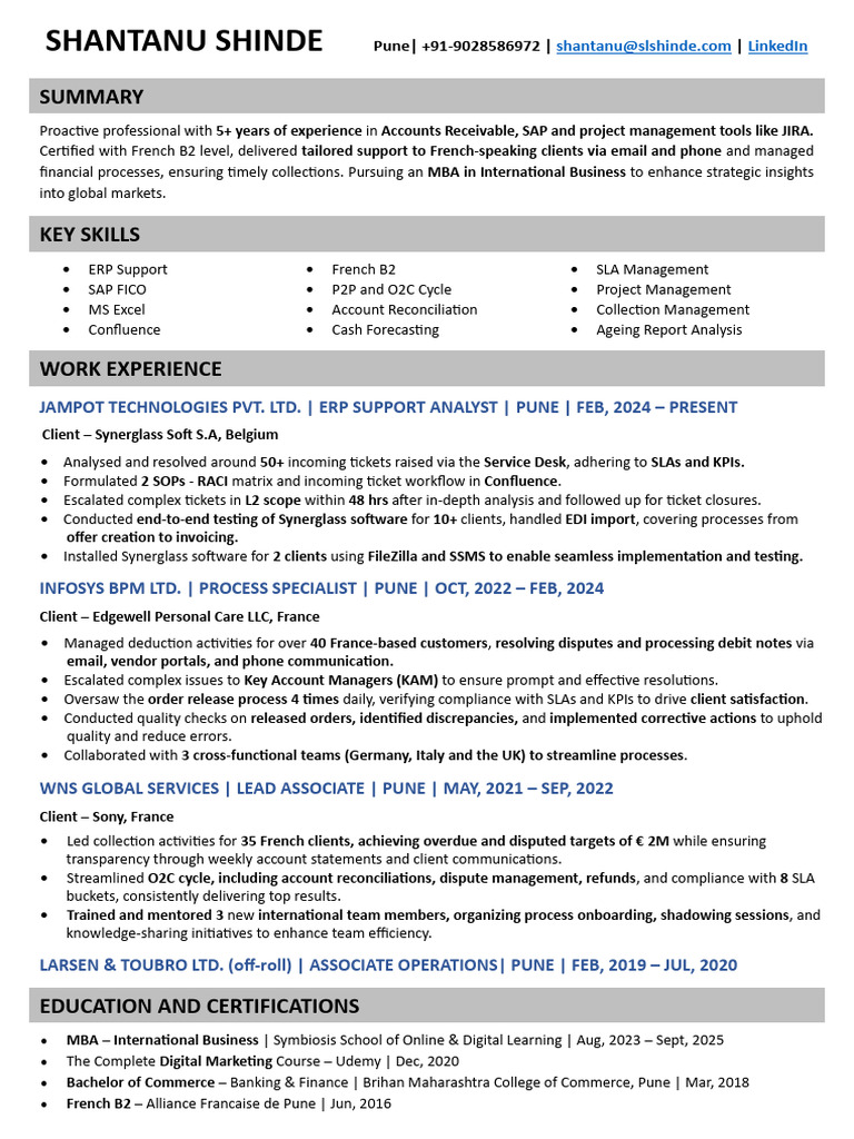 ERP & Finance Specialist Profile | PDF | Business | Computing