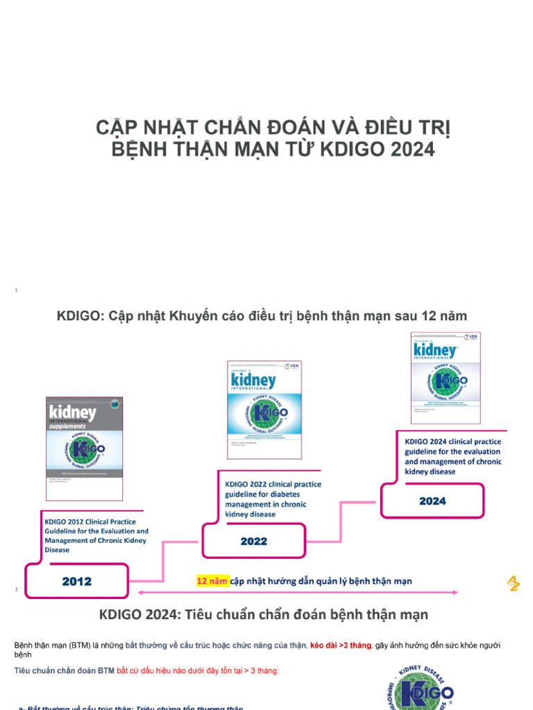 Cập Nhật Chẩn Đoán Và Điều Trị Bệnh Thận Mạn Theo KDIGO 2024 | PDF